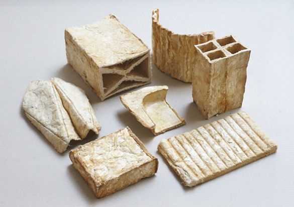Micelio, el material de construcción hecho con hongos
